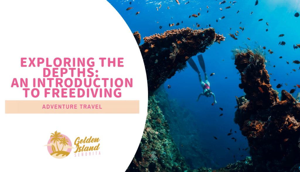 Exploring The Depths: An Introduction To Free Diving [2025]