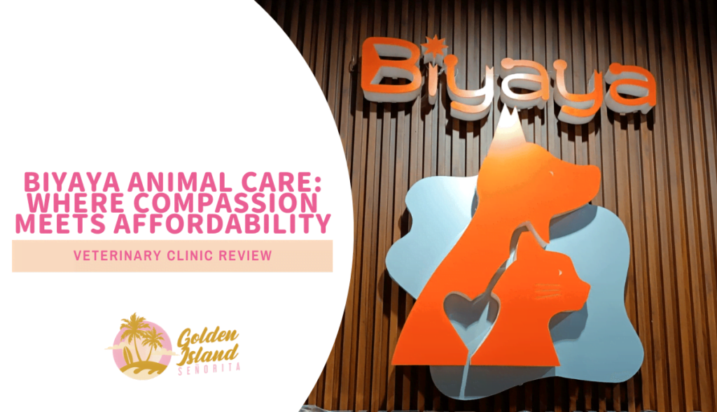 Biyaya Animal Care: Where Compassion Meets Affordability [2026]