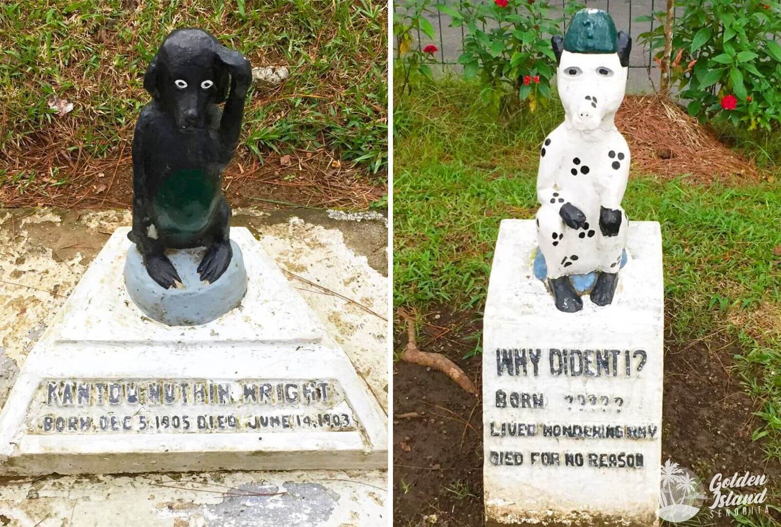 Exploring The Lost Cemetery Of Negativism: A Guide To Baguio’s Unique ...