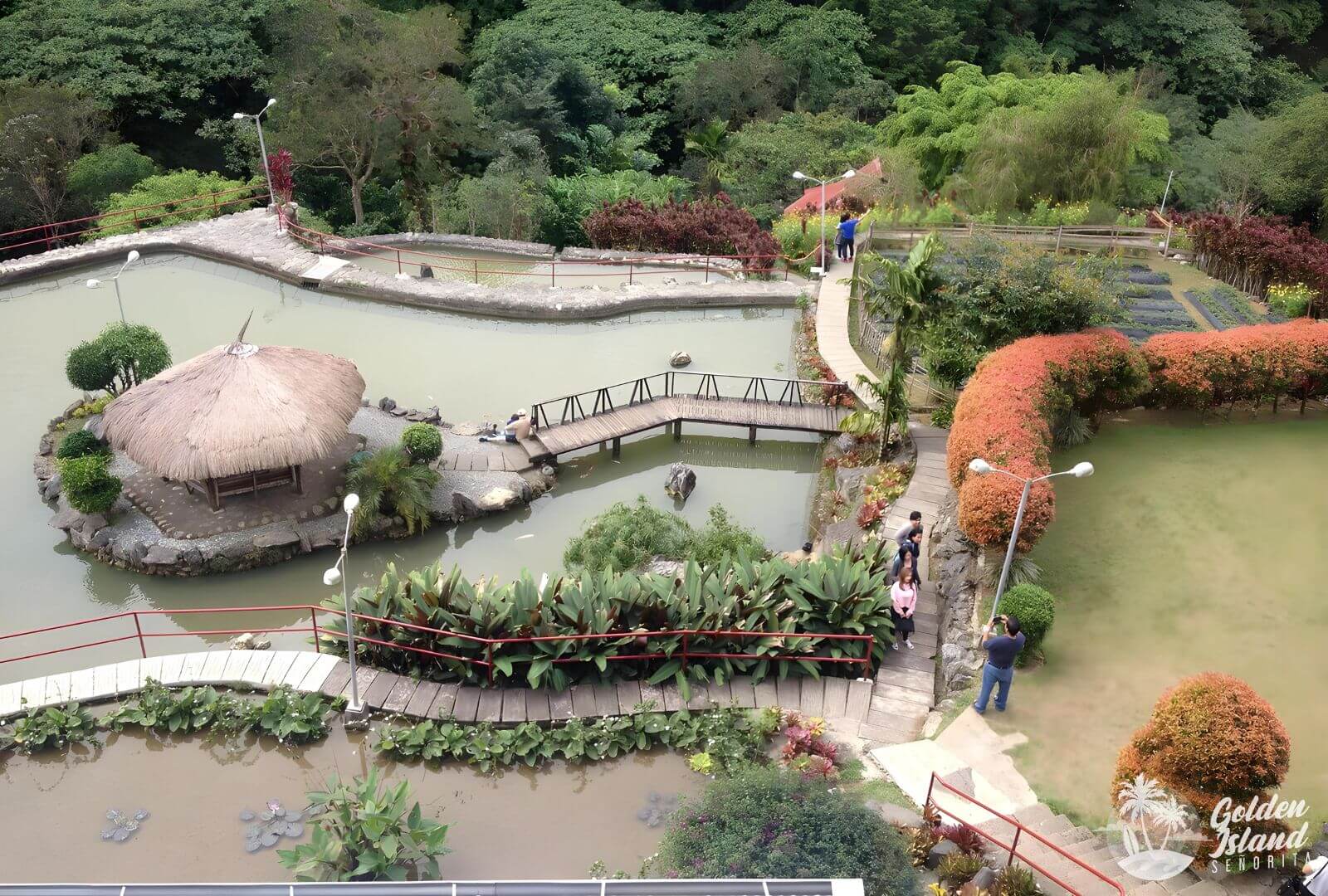 Exploring BenCab Museum In Baguio City: A Comprehensive Travel Guide ...