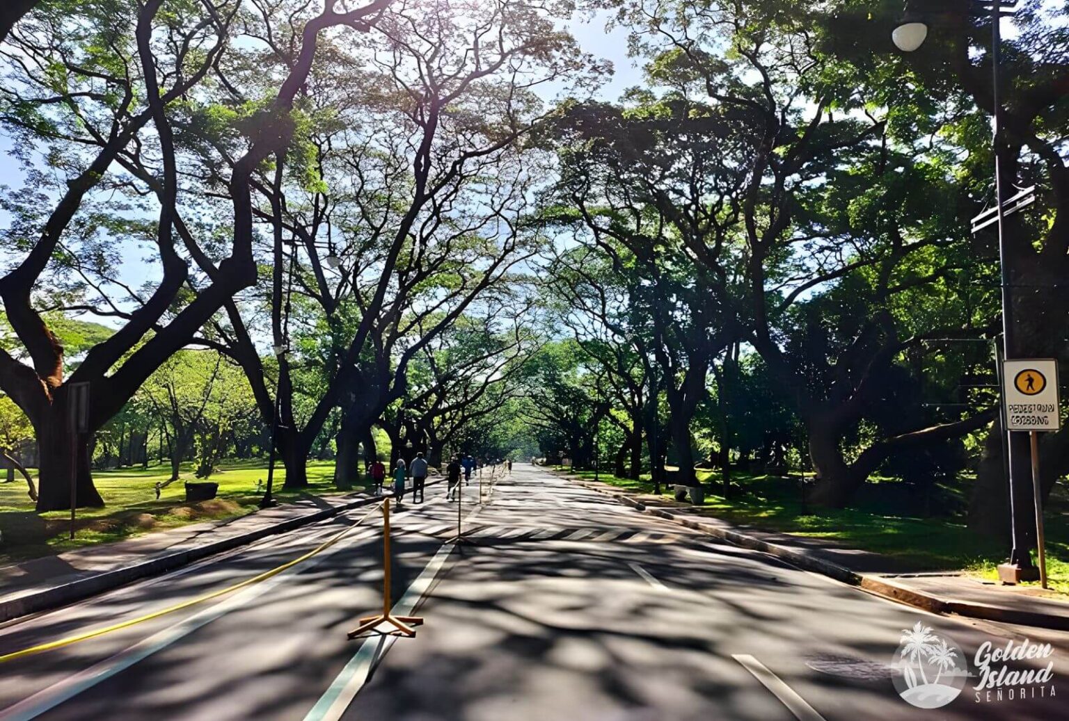 Metro Manila's Running Spots: Perfect Paths For Fitness Fanatics [2025]