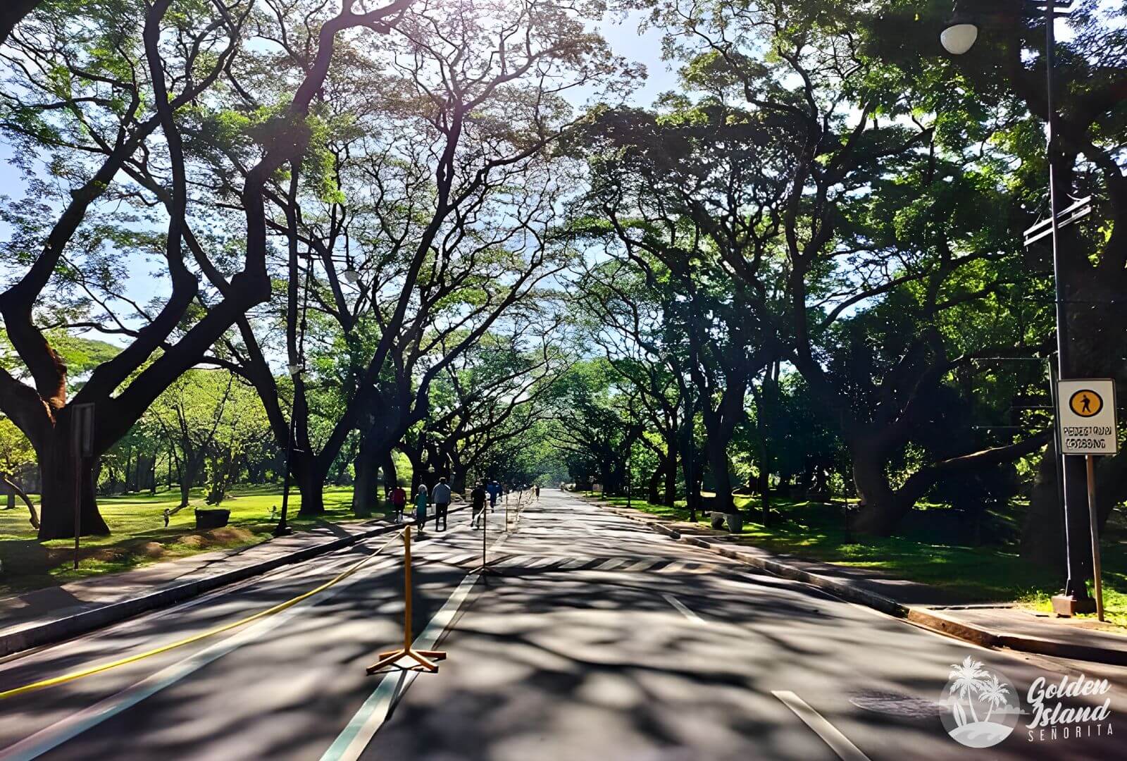 Metro Manila's Running Spots: Perfect Paths For Fitness Fanatics [2024 ...