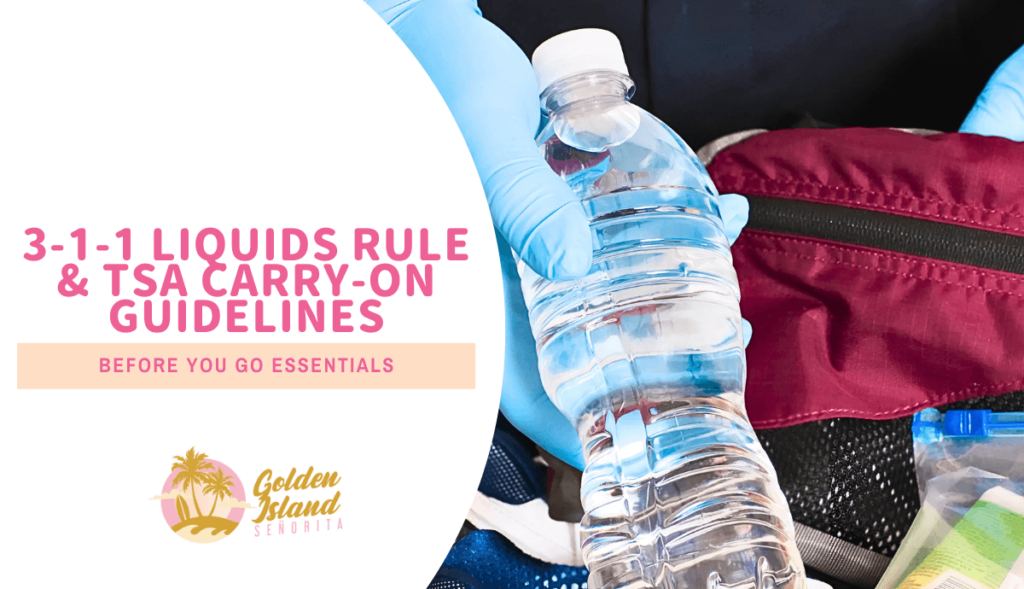 3-1-1 Liquids Rule & TSA Carry-On Guidelines: Important Thing To Know ...