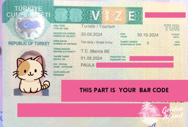 TURKEY VISA APPLICATION: A Simplified Guide For Tourists [2024 ...