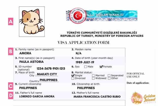 TURKISH VISA APPLICATION FORM (For Tourists): A Step-by-Step Guide On ...